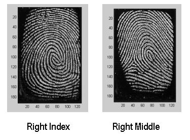 Advanced Multimedia Processing Lab -- Projects -- Sensor Fusion